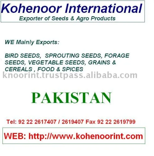 Pakistani Guar Seeds, High Quality Pakistani Guar Seeds on Bossgoo.com