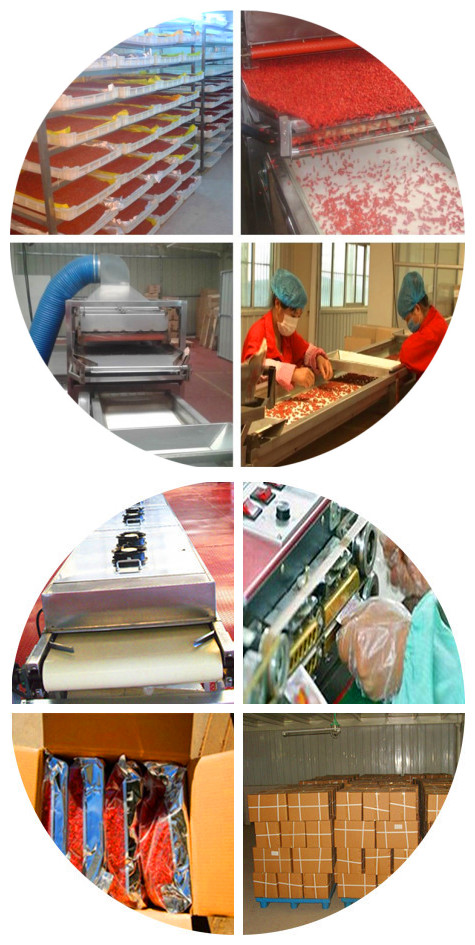 Ningxia Wild Goji Berry Dried Herbal Fruit, Bossgoo.com의 고품질 Ningxia ...