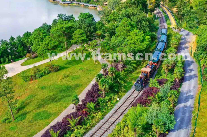 Fairy Tale Locomotive