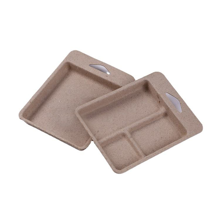 Sustainable Bamboo Pulp Molded Pack Paper Pulp Box, High Quality ...
