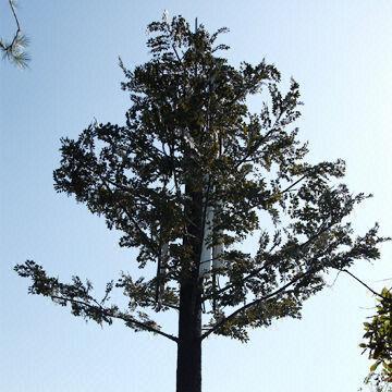 Gsm Monopole Concealed Pole, Bionic Banyan Tree Steel Communication ...