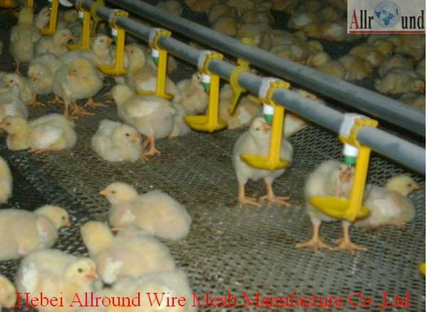 Automatic Poultry Farming Equipment , High Quality Automatic Poultry ...
