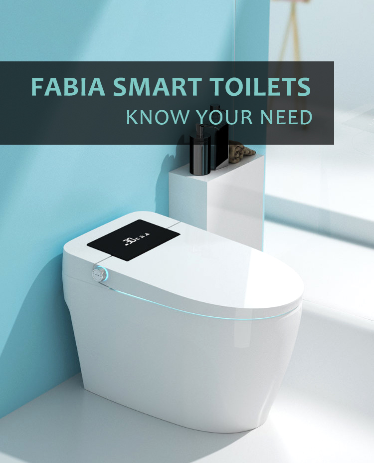 Floor Mounted Display Screen Smart Intelligent Toilet, High Quality ...