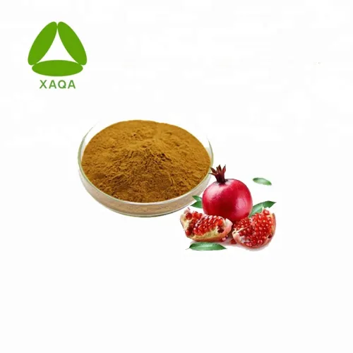 Pomegranate Peel Extract 40% Polyphenol Powder, High Quality ...