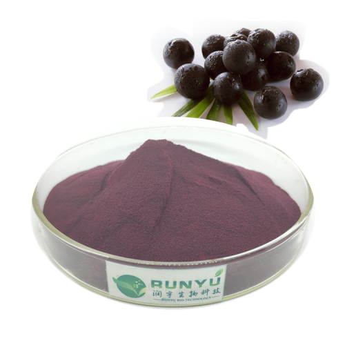 Acai Fruit Powder Frozen Acai Berry Powder, High Quality Acai Fruit ...