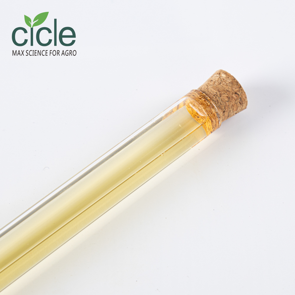 Prohydrojasmon Pdj Jasmonic Acid 5% 10% Sl, Bossgoo.com의 고품질 ...