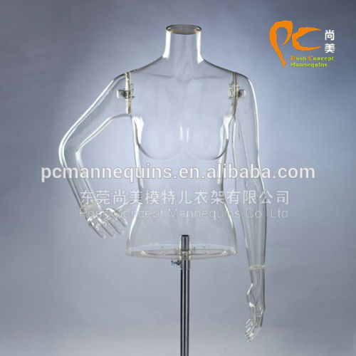 Transparent Mannequin Clear Torso Bust To Display Underwear, High ...