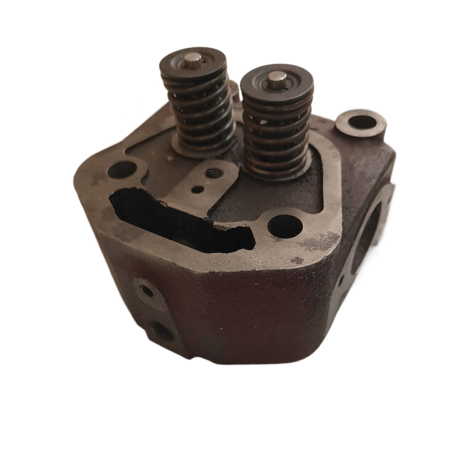 Cylinder Head Assy. With Springs And Valves For Zh185/zh190/zh192 Water ...