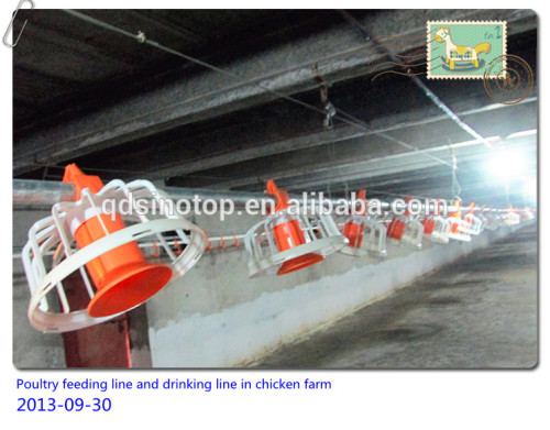 Broiler Ground Feeding System Poultry Farming Equipment, High Quality ...