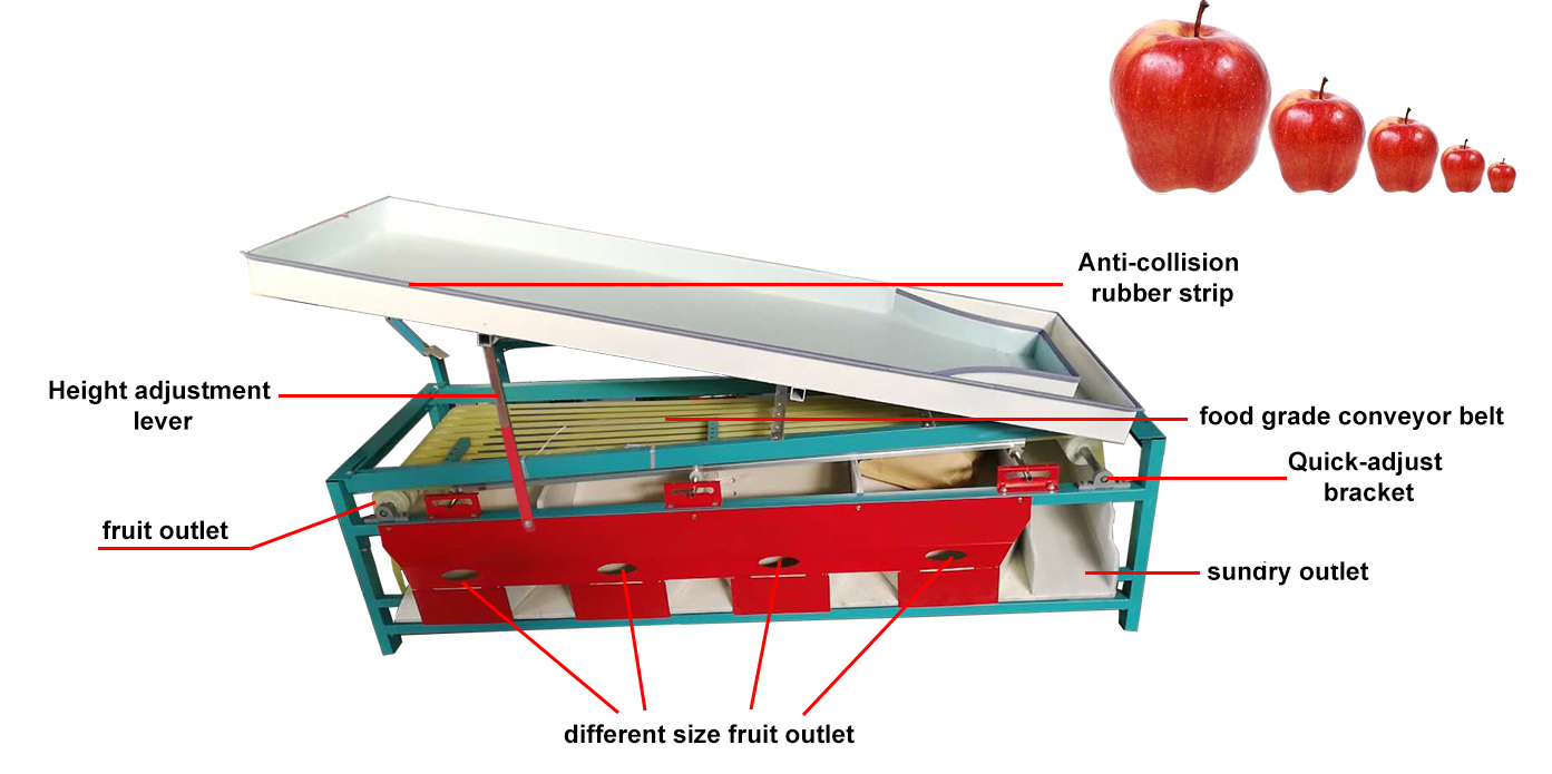Citrus And Berry Sorting Machine: Tomato, Apple, Lemon, And Strawberry ...