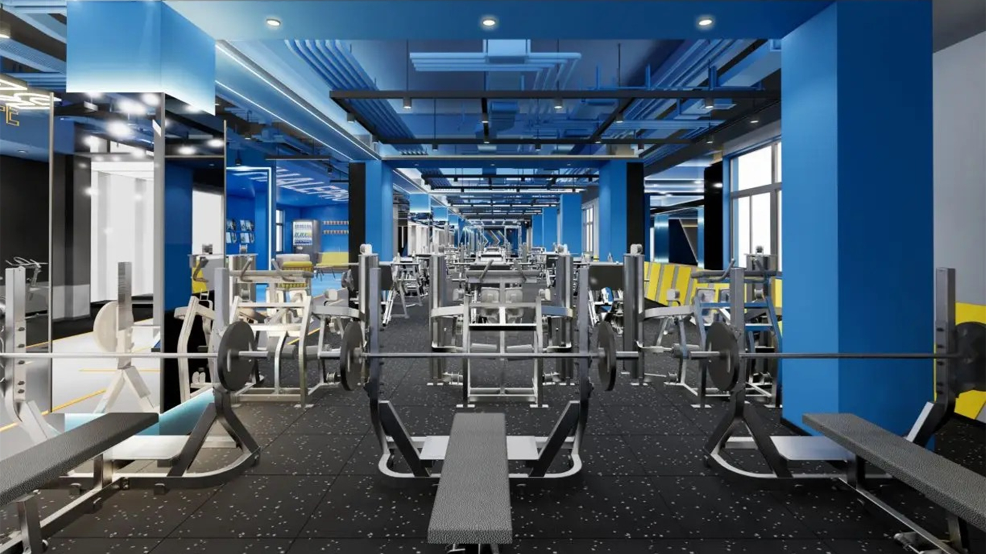 All you need to know about wholesale gym equipment in China
