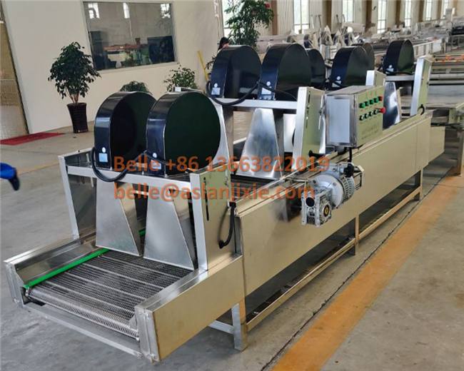 Factory Air Blower Vegetables Dryer Machine: Soft-packed Flip Drying ...