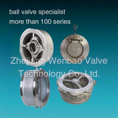 Stainless Steel Swing Check Valve Dn100, High Quality Stainless Steel ...
