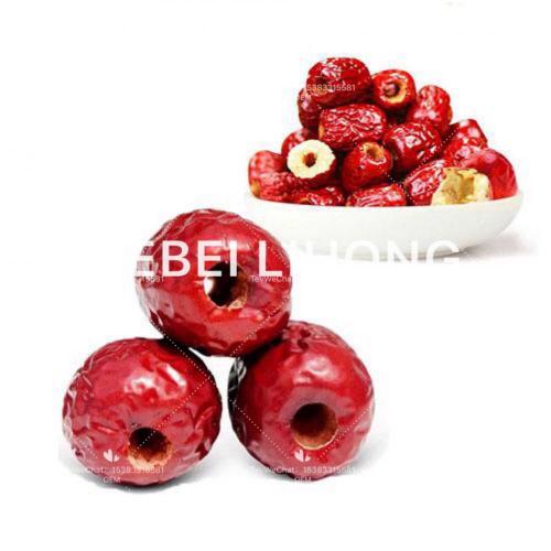 Seedless Crispy Red Dates, High Quality Seedless Crispy Red Dates on ...