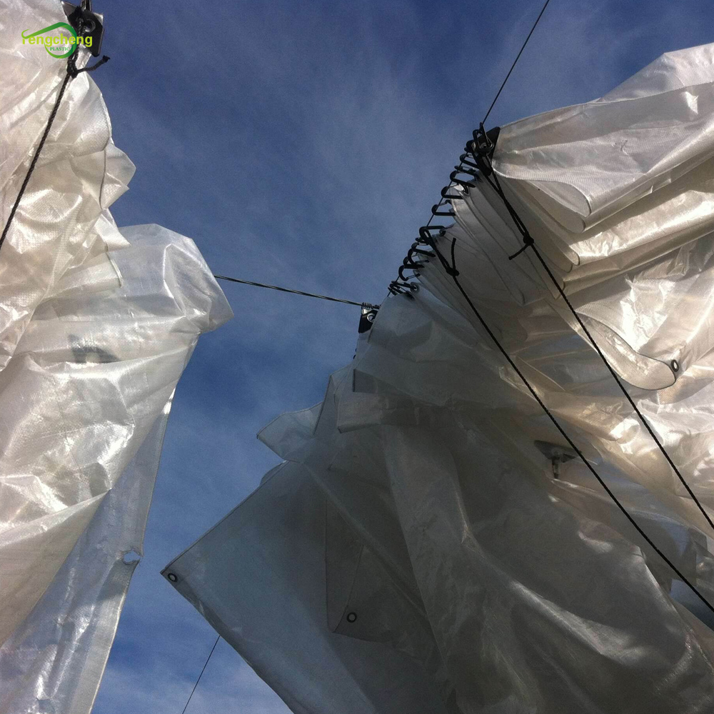 Plastic Roof Rain Cover Roofing Transparent Pe Tarpaulin, High Quality ...