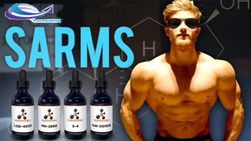 Wholesale Sarms Lgd 4033 Liquid For Muscle Loss, High Quality Wholesale ...