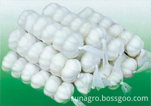 Whole Garlic In A Normal Bag, High Quality Whole Garlic In A Normal Bag ...