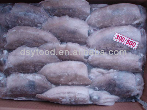 Frozen Cuttlefish Whole Cleaned, High Quality Frozen Cuttlefish Whole ...