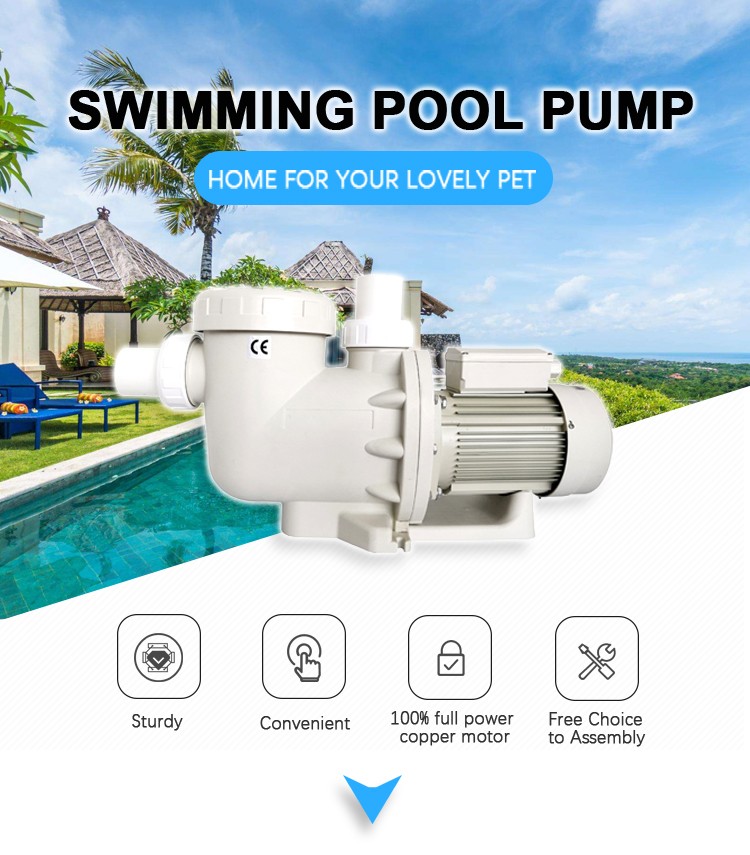 Inverter Pool Heat Pump/pool Chlorine Pump/intex Pool Filter Pump, High ...