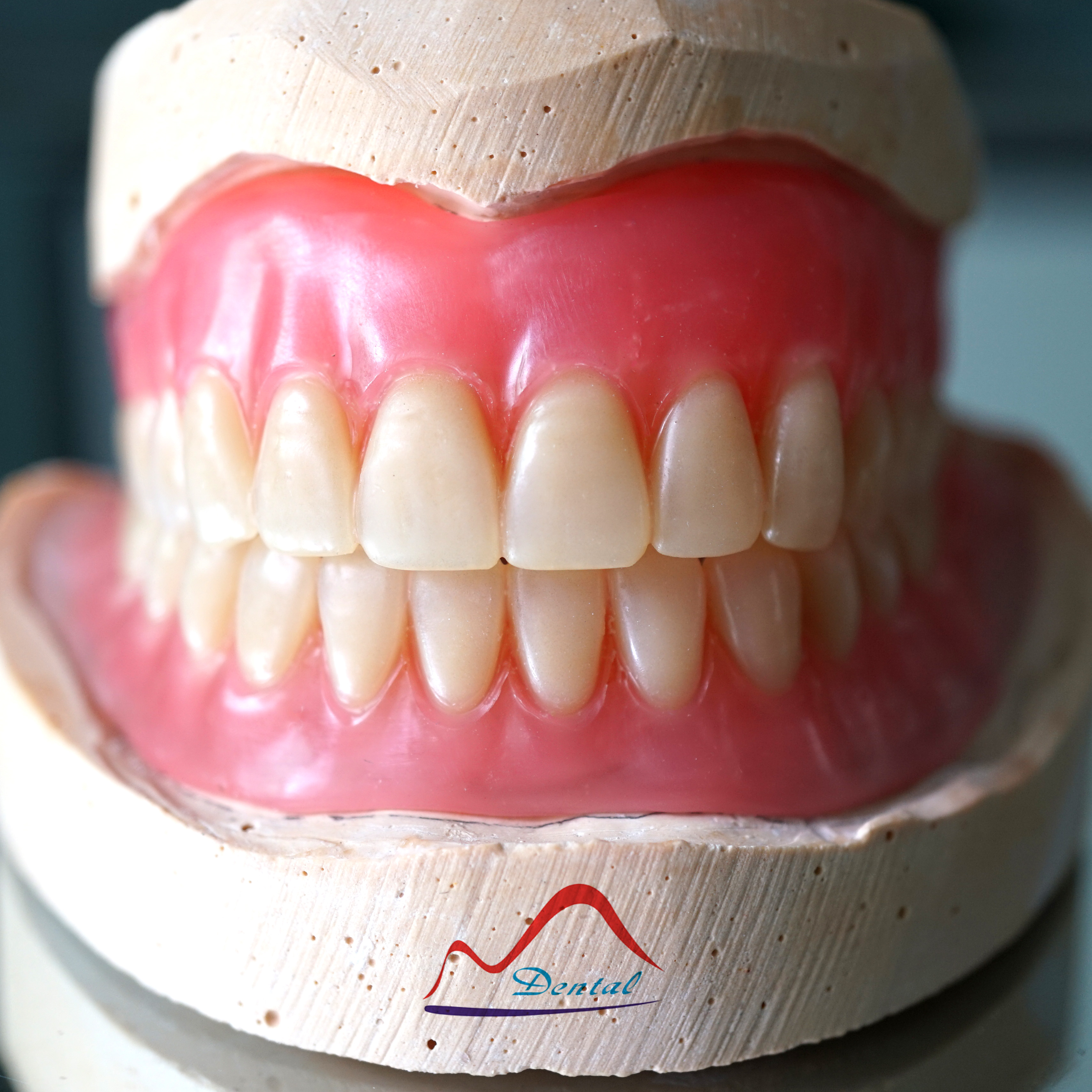 Full Denture Teeth Try In, High Quality Full Denture Teeth Try In on ...