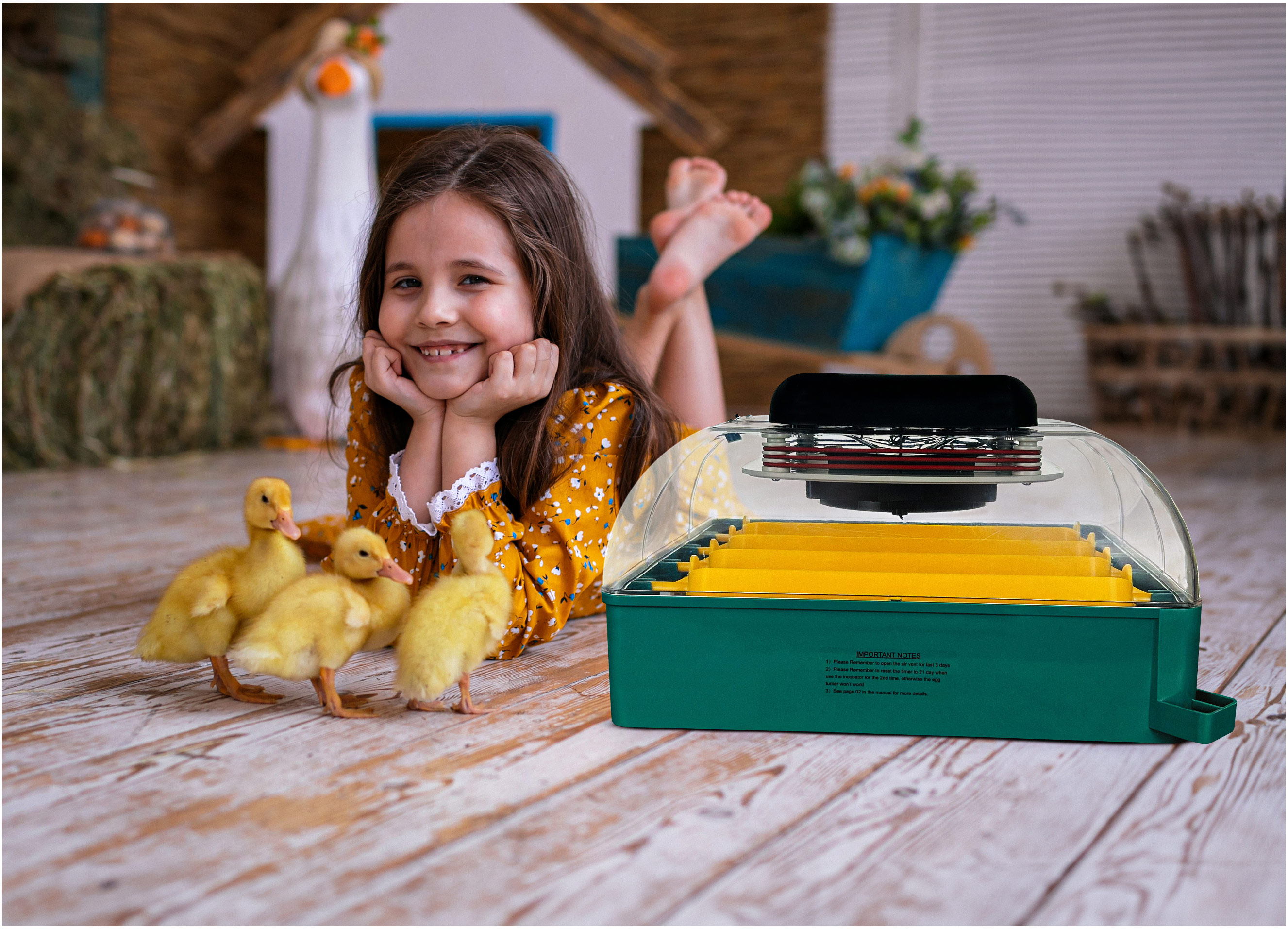 Eu Profi C-24 Egg Incubator With Advanced Temperature Control And ...