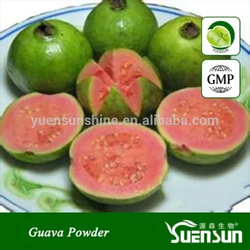 100% Natural Guava Powder/ Instant Guava Juice Powder/ Spray Dried ...