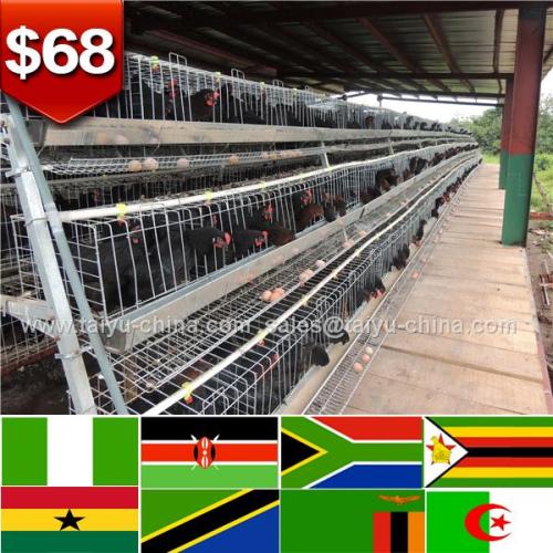 Automatic Manure Removal Equipment Bird Cages For Layer Chickens, High ... Automatic Manure Removal Equipment Bird Cages For Layer Chickens, High ...