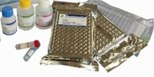 Human B Cell Differetiation Factor,bcdf Elisa Kit, High Quality Human B ...