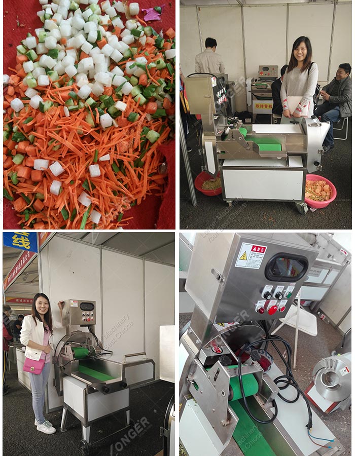 Commercial Parsley Chopper & Lettuce Shredder Machine, High Quality ...