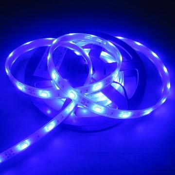 5050 High Lux High Quality Led Decorative Lights, High Quality 5050 ...