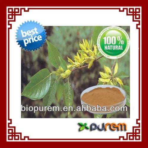 Eucommia Ulmoides Leaf Extract, High Quality Eucommia Ulmoides Leaf ...