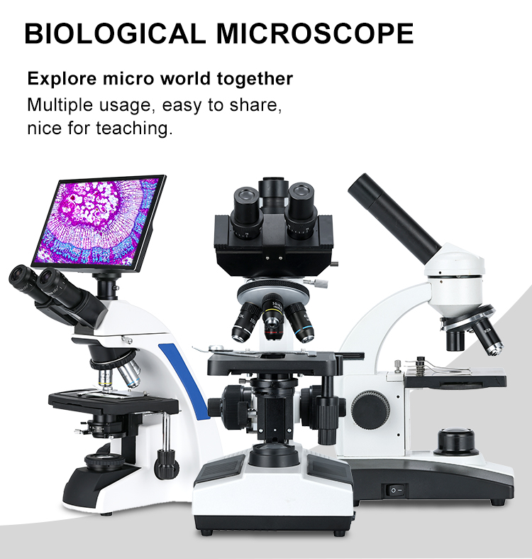 Biological Binocular Microscope With 5mp Camera, High Quality ...