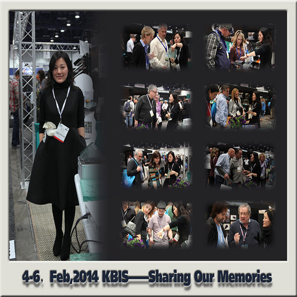 Hexagon 8 Seaters Glass Dining Table, High Quality Hexagon 8 Seaters ...