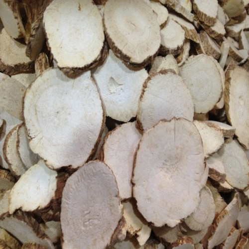 Natural Angelica Dahurica(bai Zhi), High Quality Natural Angelica ...