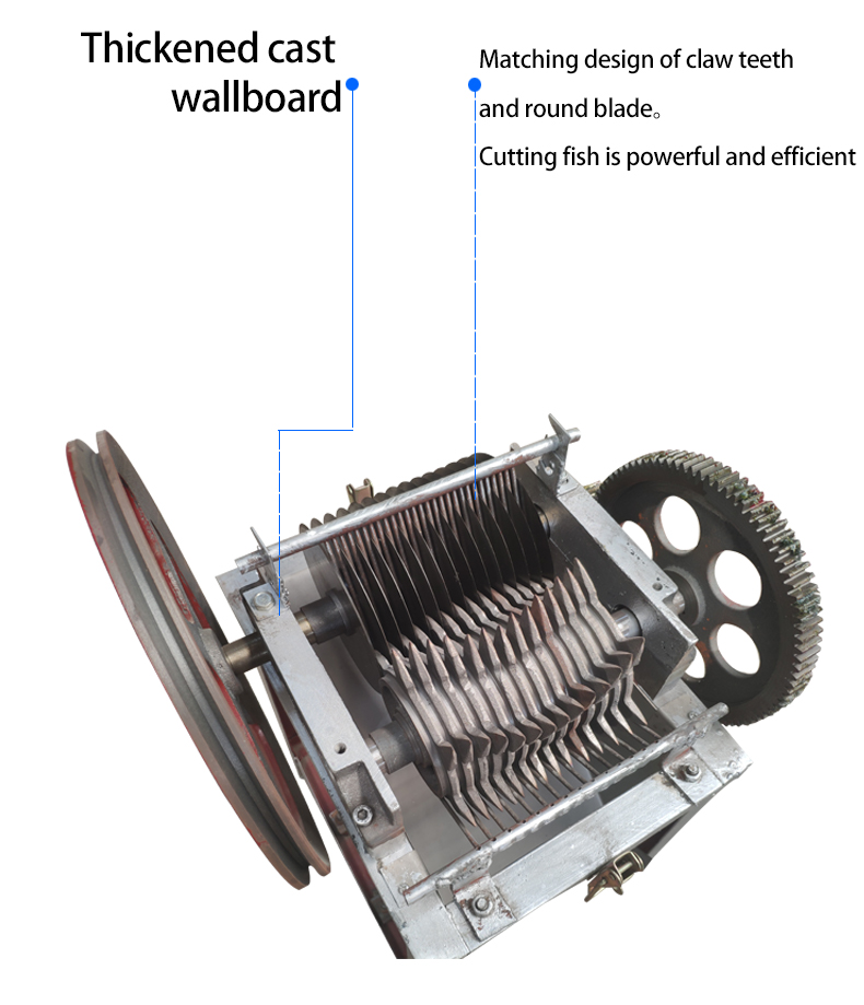 High Productivity Frozen Fish And Squid Cutting Machine, High Quality ...