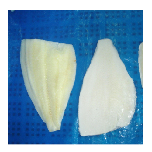 Made In China Grade One Fin Sole Fillet With Skin On Fresh Sole Fish ...