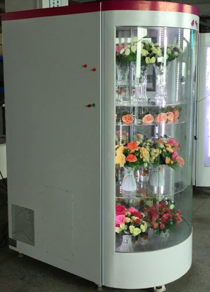 High-quality Lattice Vending Machine With Temperature Control For Fresh ...