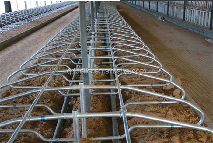 Heat Insulation Solutions For Cow Free Stalls, High Quality Heat ...