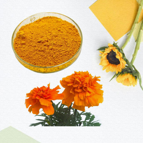 Marigold Extract Powder Lutein 5%, High Quality Marigold Extract Powder Lutein 5% on Bossgoo.com
