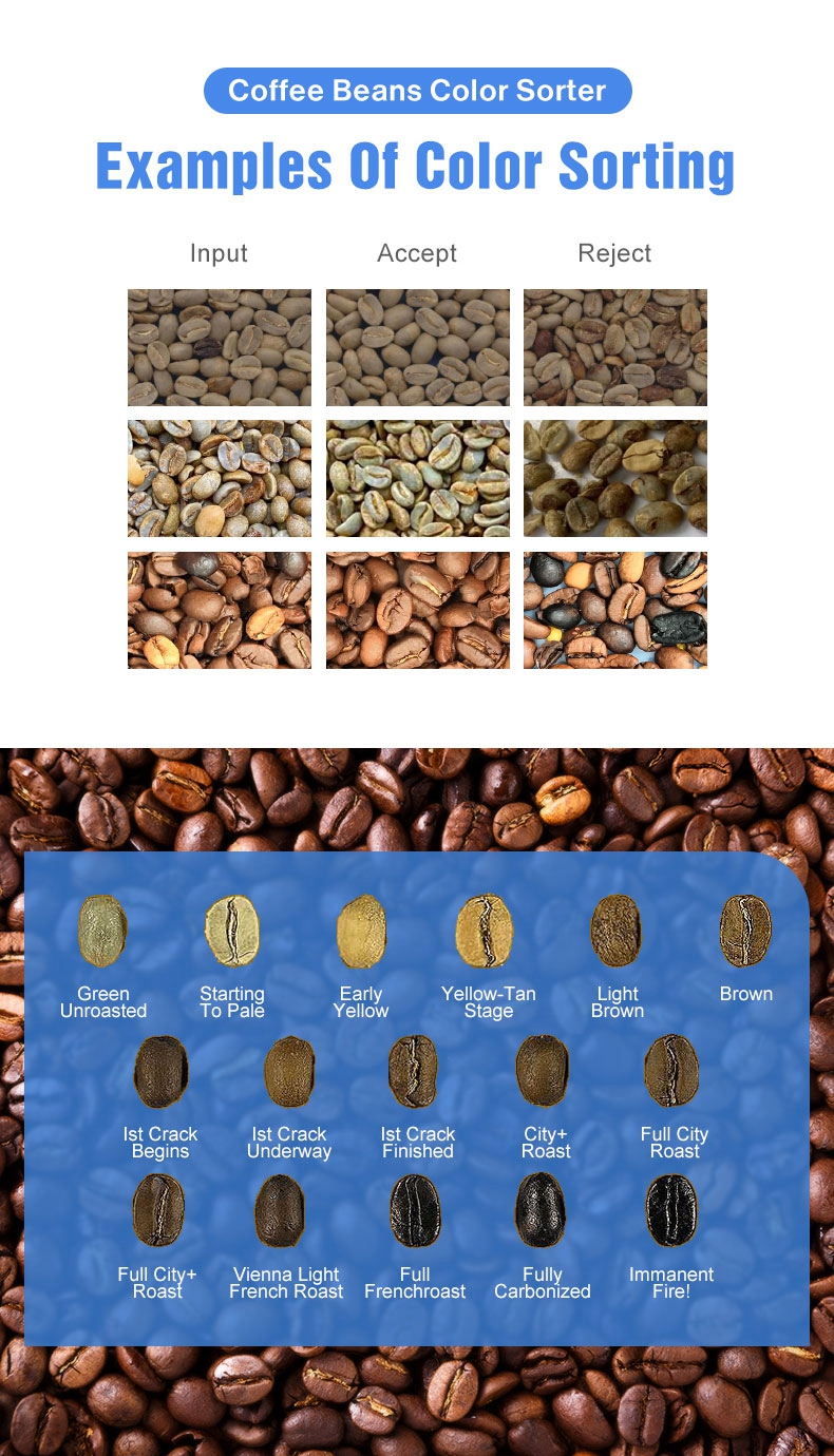Wenyao Ai Sorting Machine: Coffee Beans Color Sorter & Multi-function ...