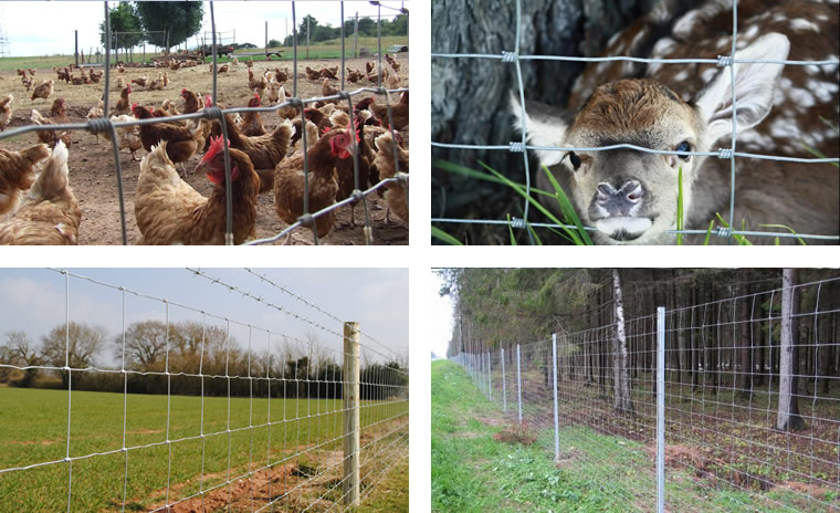 Heavy Galvanized Rural Farm Fencing, High Quality Heavy Galvanized ...