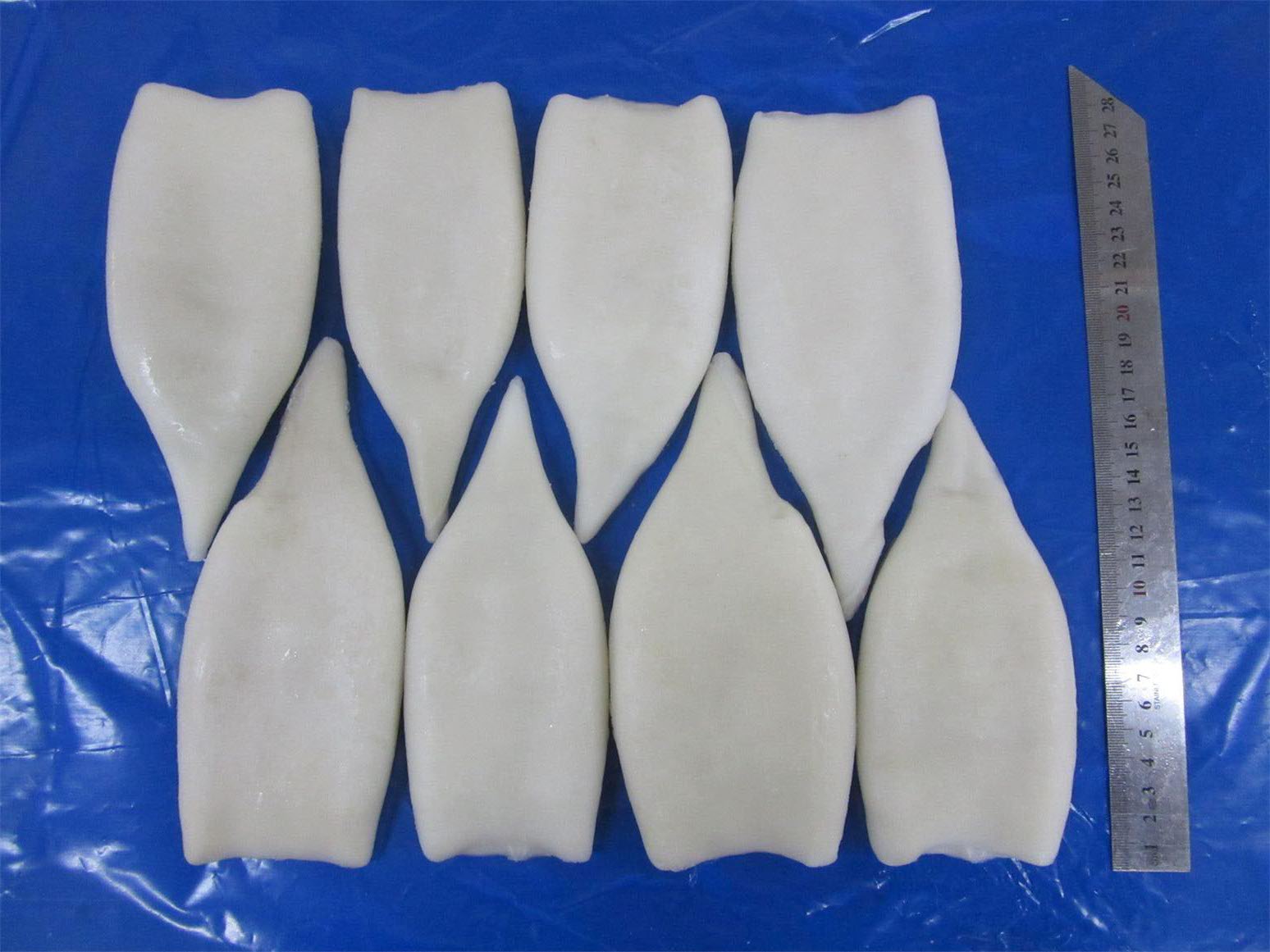 High Quality Frozen Squid Price Squid Tube U4,gaint Squid Tube U5,high ...