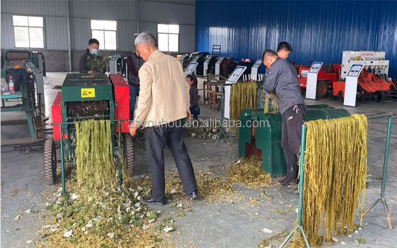 Automated Industrial Hemp Decorticator Machines: Fiber Extraction ...