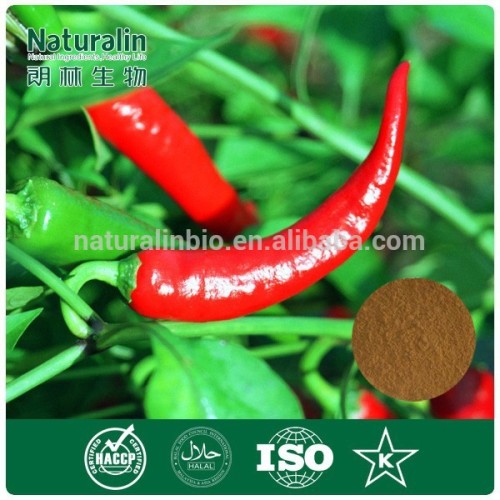 Capsicum Extract/capsicum Annuum Extract/capsaicin, High Quality ...