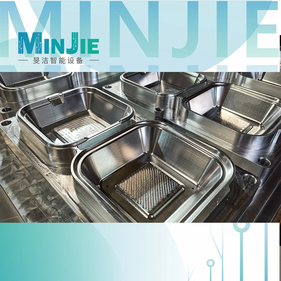 Pulp Molding Clamshell Mold MP-SH09-3 China Manufacturer