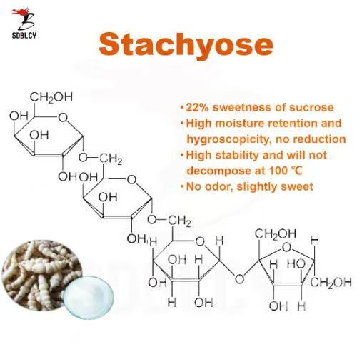 Premium Stachyose Gut Vitality Natural Daily Pick, High Quality Premium ...