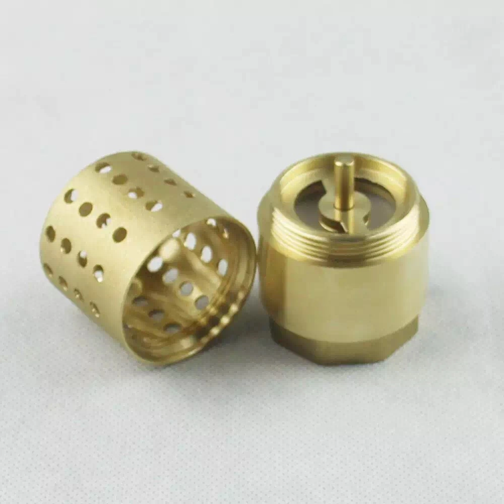 Brass Spring Check Valve With Filter As-c003, High Quality Brass Spring ...