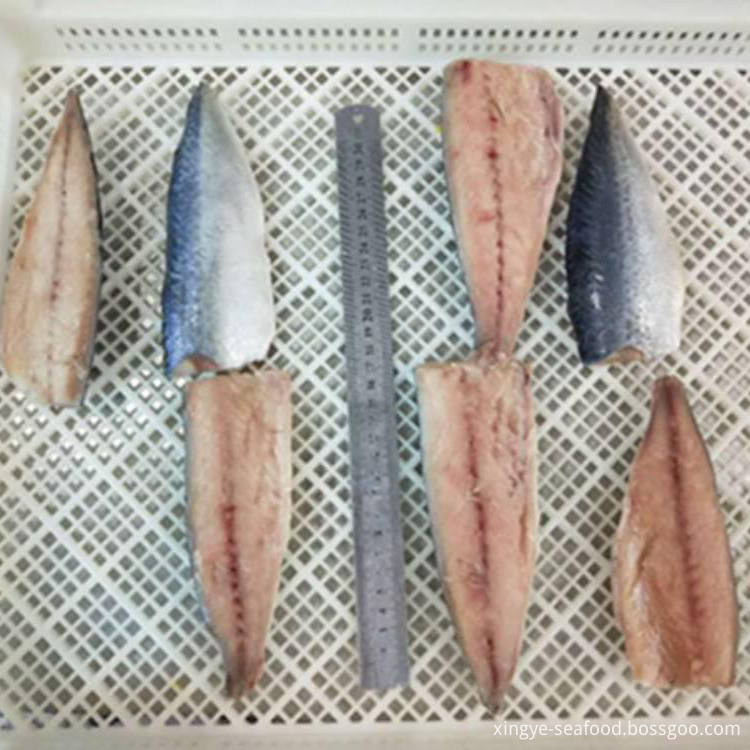 Frozen Iqf Mackerel Fillets, High Quality Frozen Iqf Mackerel Fillets ...