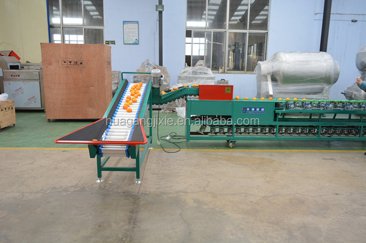 Mango And Fruit Sorting Machine: Automatic Grading Conveyor Belt System ...