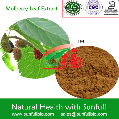 Mulberry Leaf Extract 1%,2%,5% Dnj To Control Blood Sugar, High Quality ...